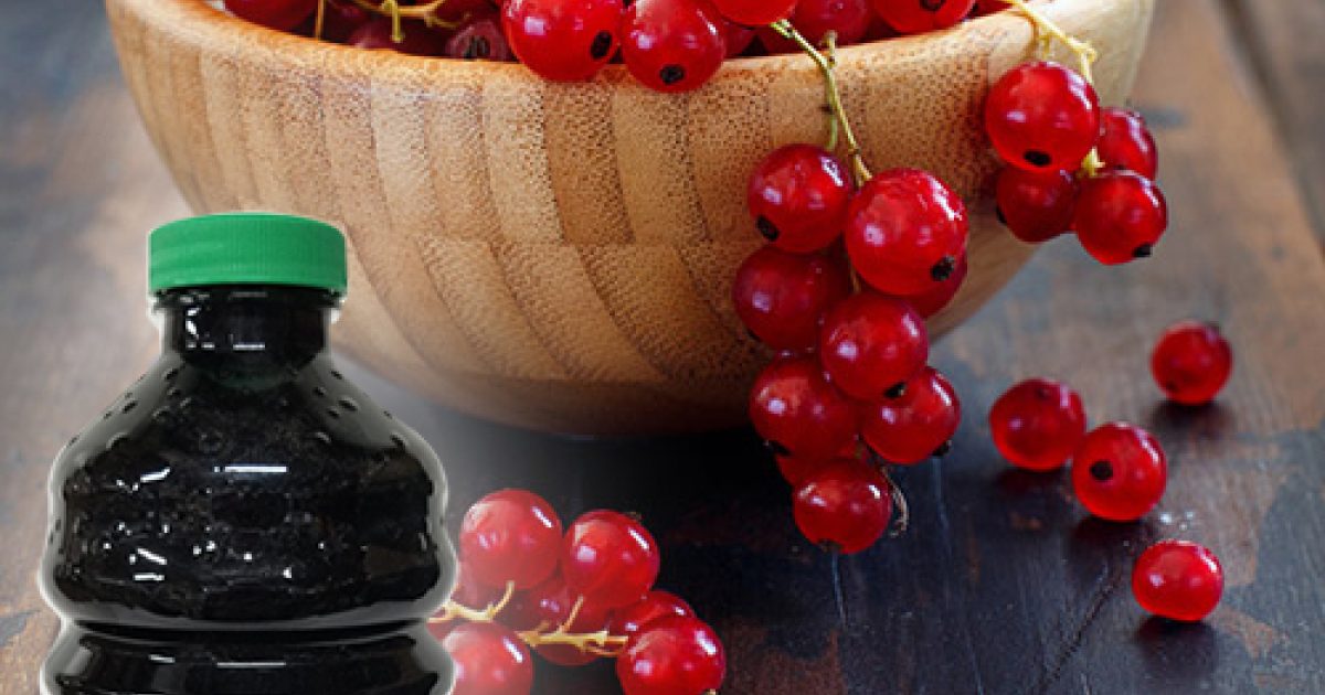 Red Currant Concentrate for Brewing and Wine making