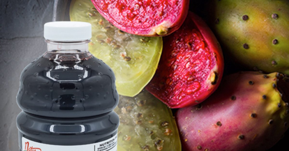Prickly Pear Juice Concentrate for Brewers and Wine makers