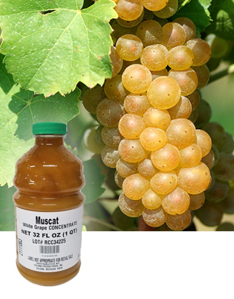 Muscat Grape Concentrate for Wine, Beer, Cider, Mead
