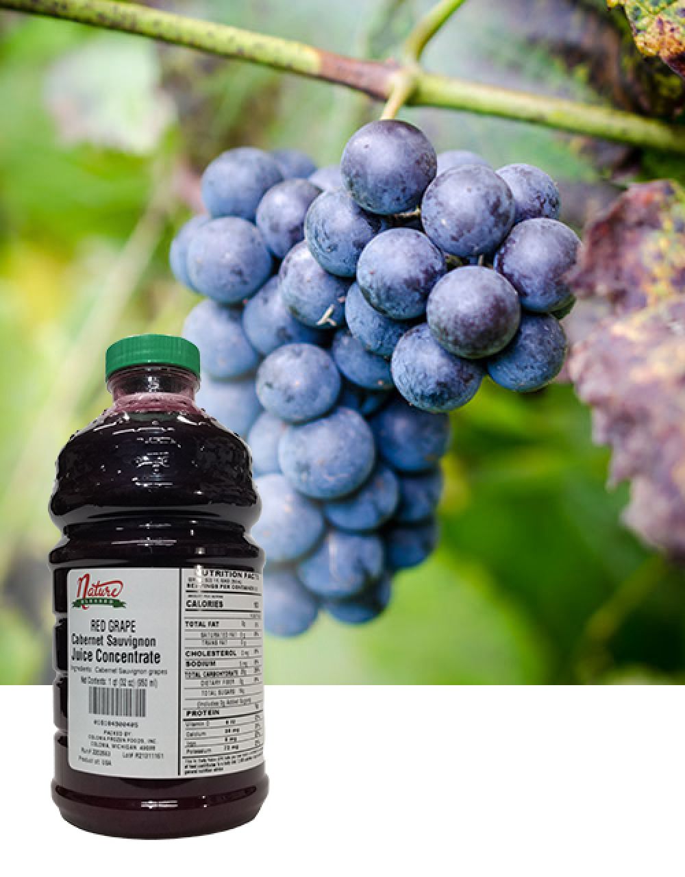 Cabernet Sauvignon Grape Juice Concentrate for Wine, Beer, Cider,…