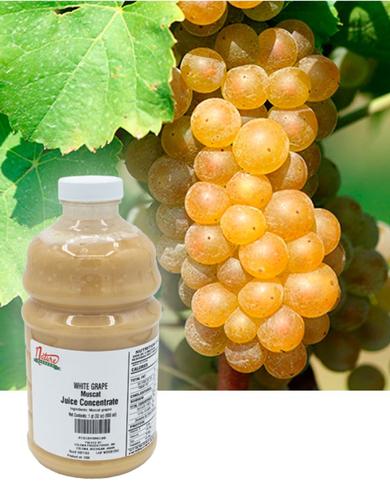 Muscat Grape juice Concentrate for Wine, Beer, Cider, Mead