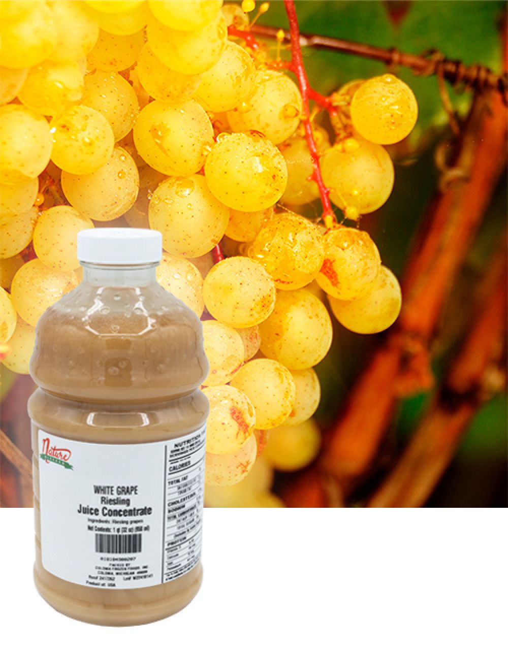Riesling Grape Juice Concentrate for Wine, Beer, Cider, Mead